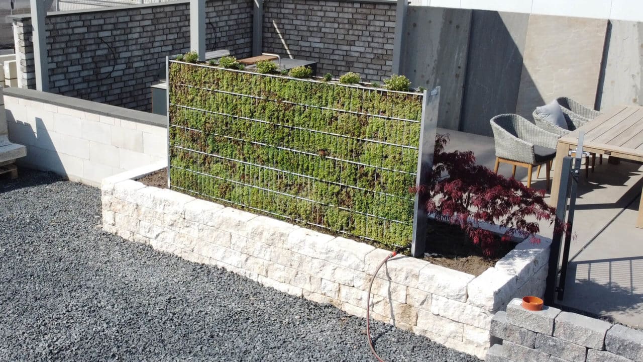 Home - Pflanzen-Gabione